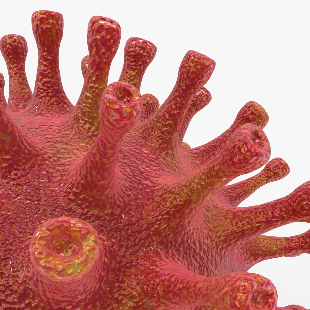 3d model of virus set color 2