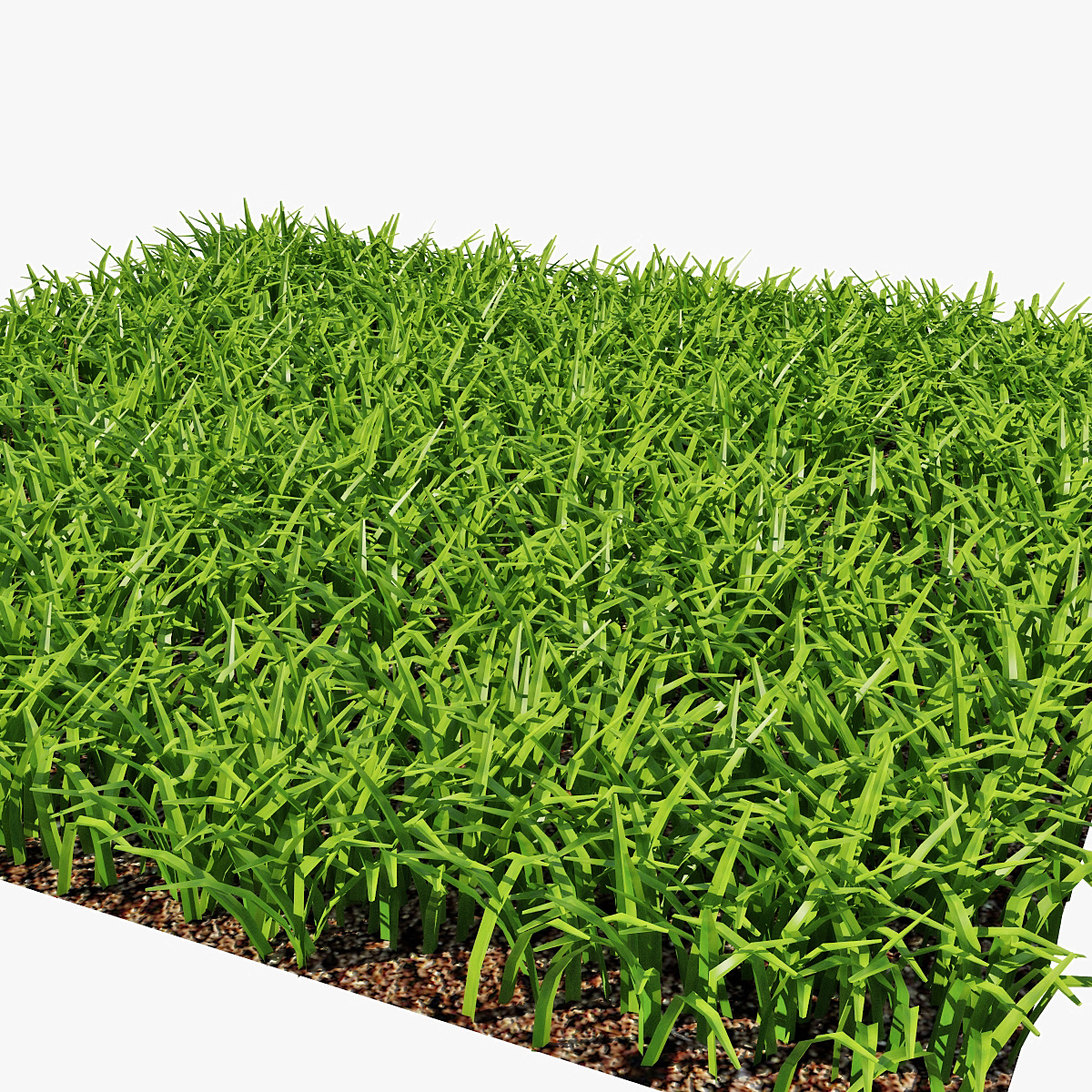 3d grass