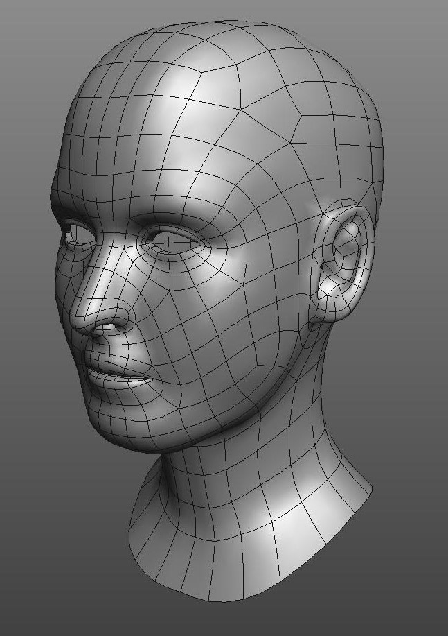 3d character head