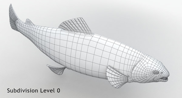 salmon fish animation 3d max