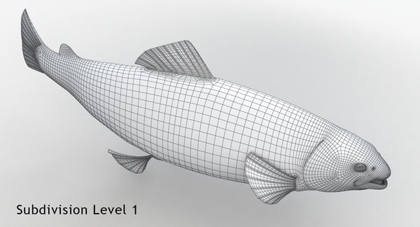 salmon fish animation 3d max