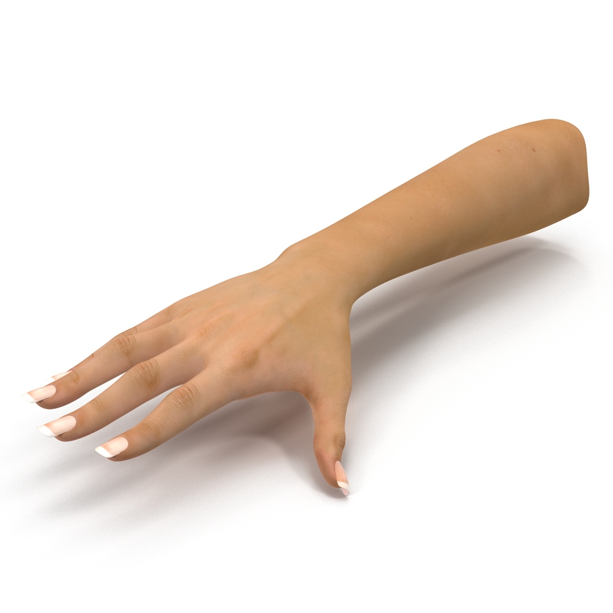 female hand rigged max