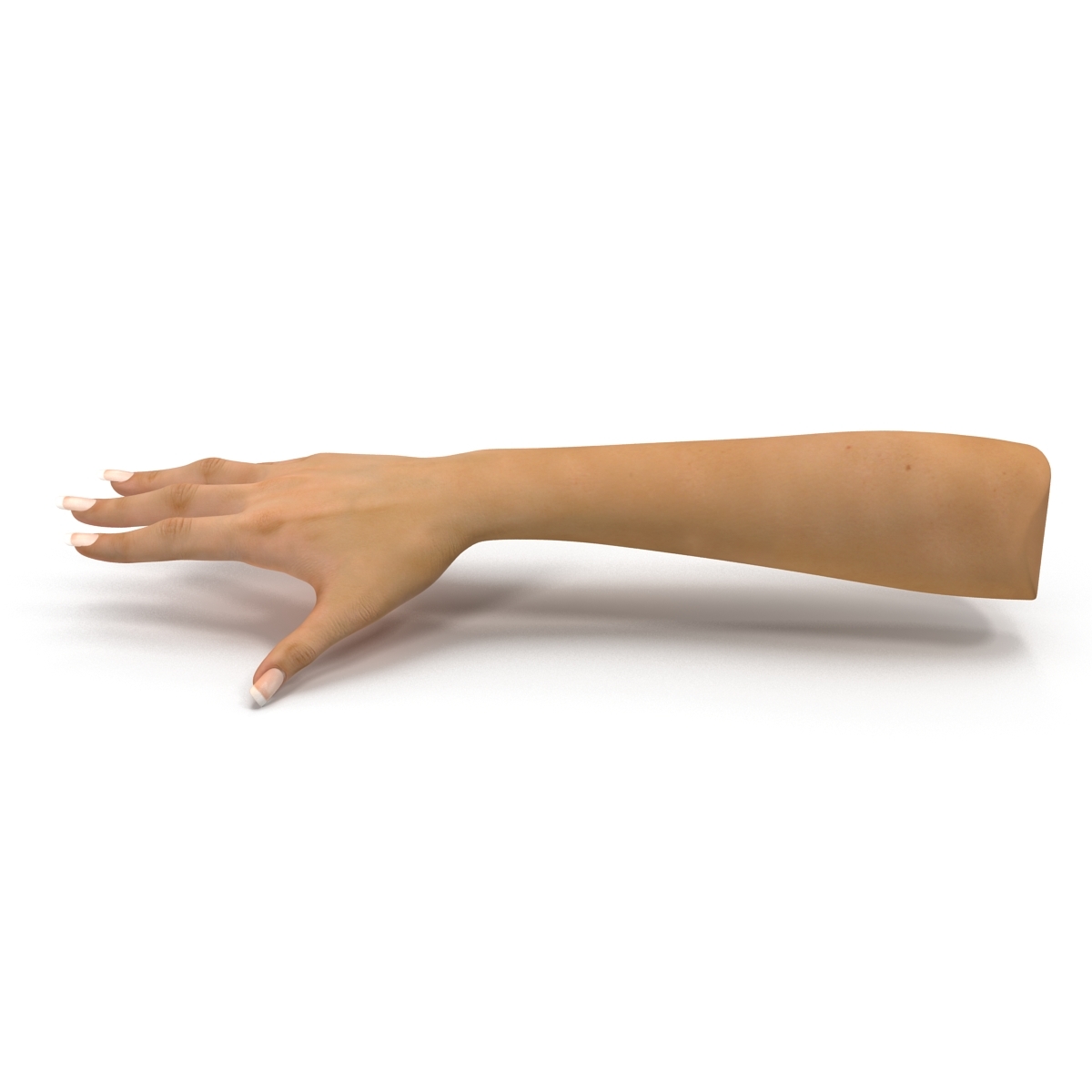 female hand rigged max