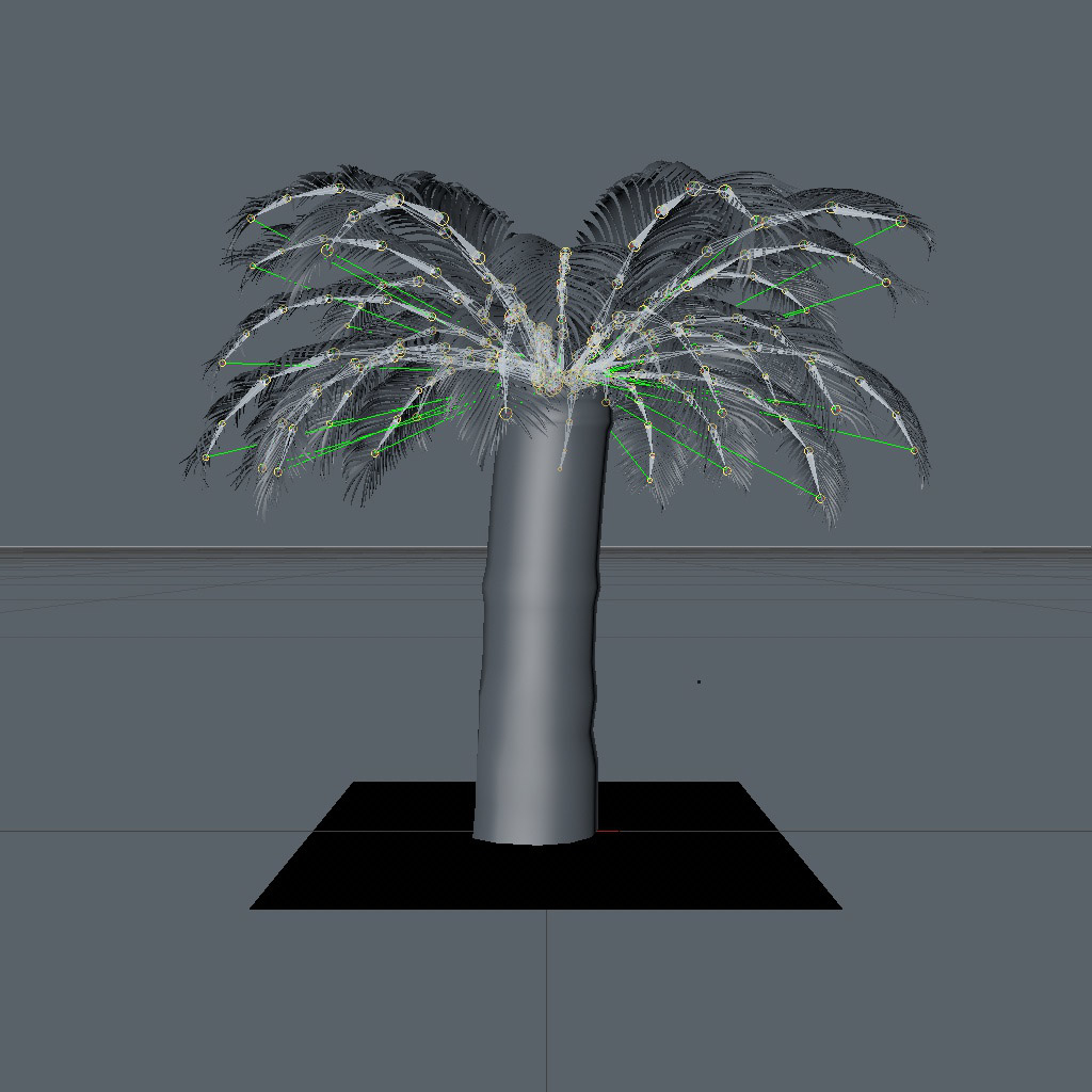 cycas 3d max