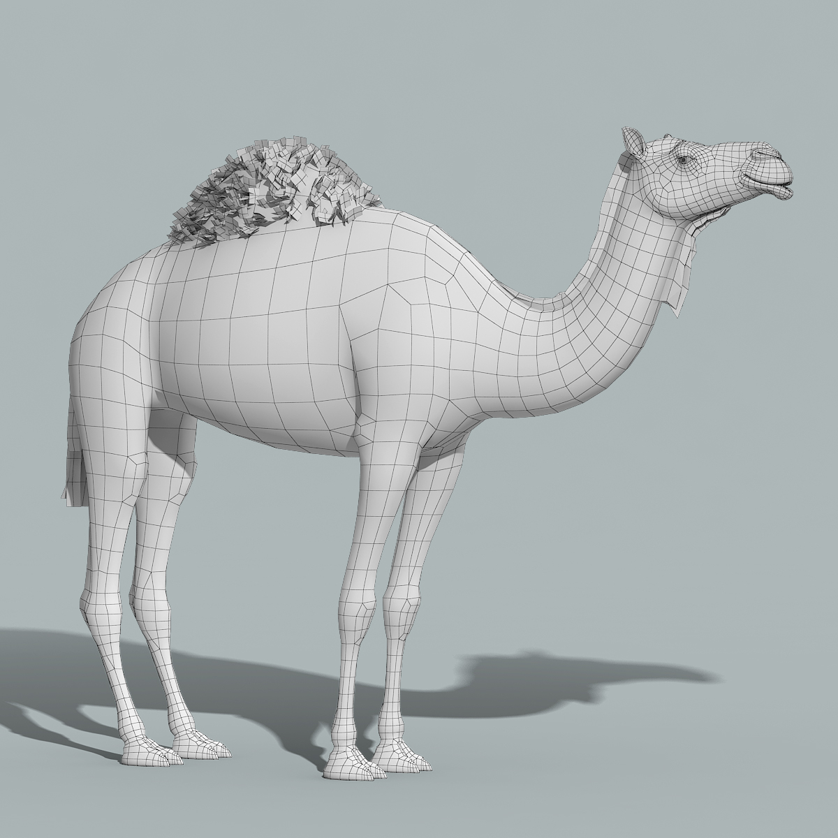 3d model camel fur
