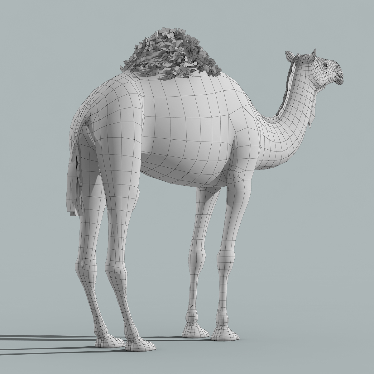 3d model camel fur