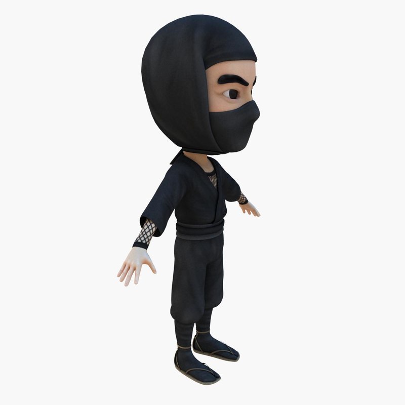 3d ninja