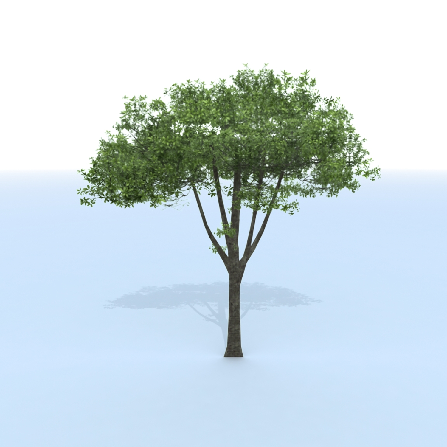 3d tree branches model