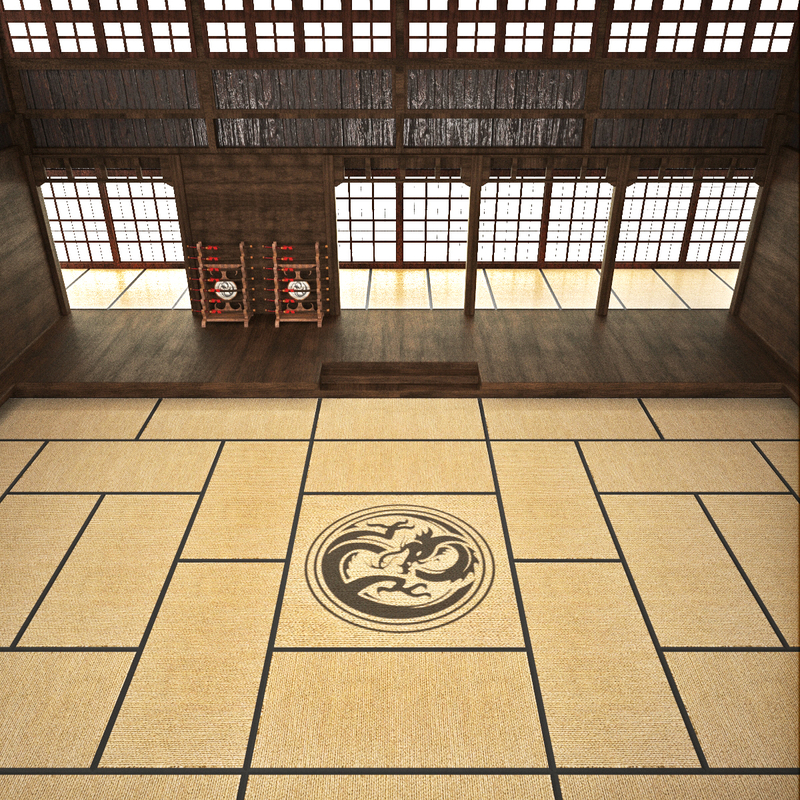 dojo room 3ds