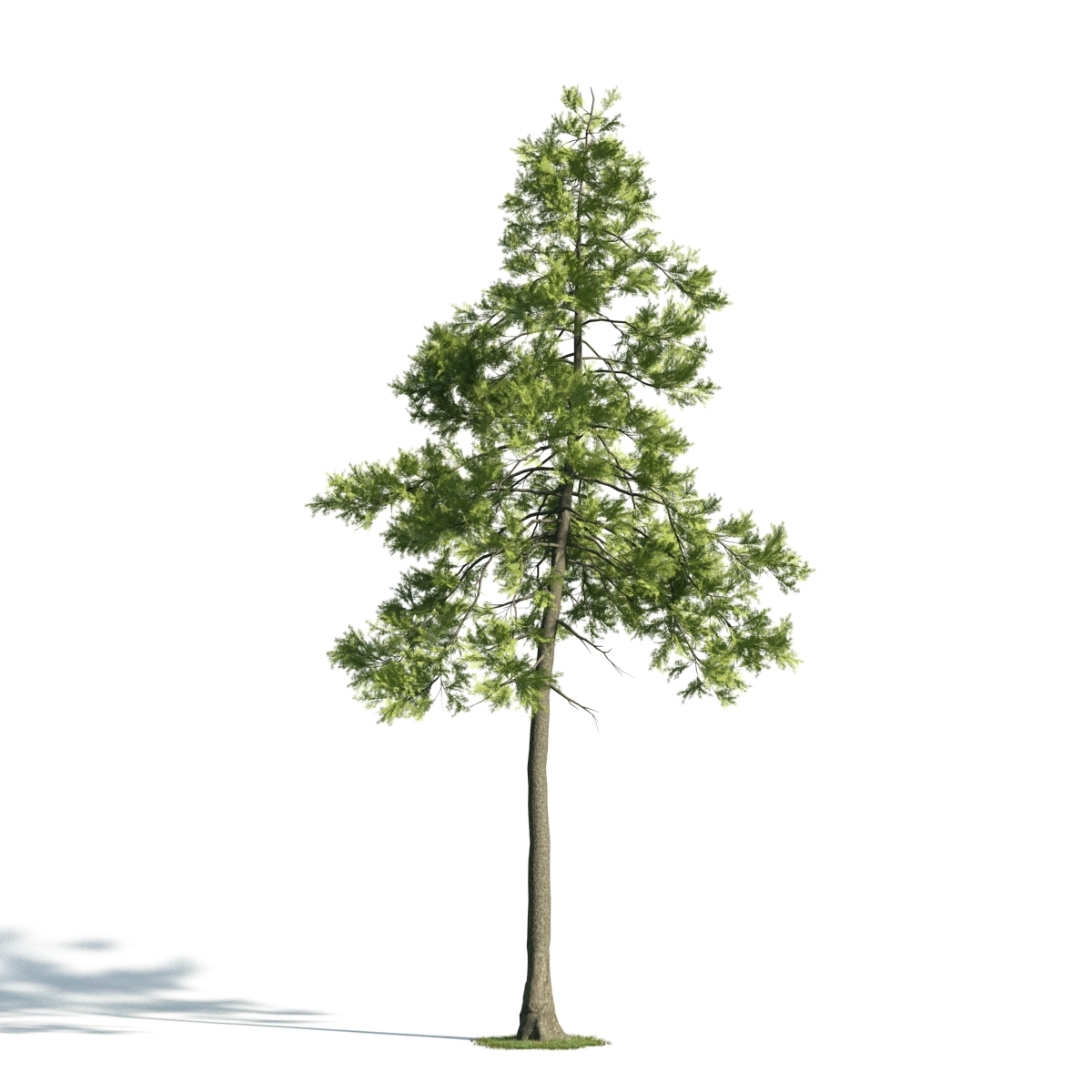 3d archmodels vol 171 trees