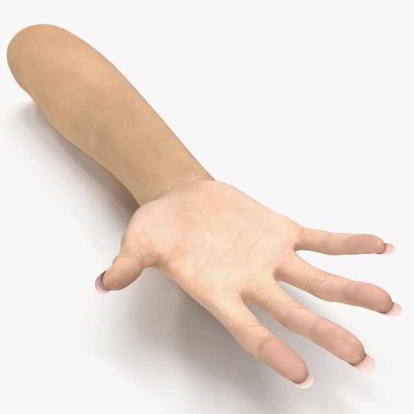 Hand 3D Models for Download | TurboSquid