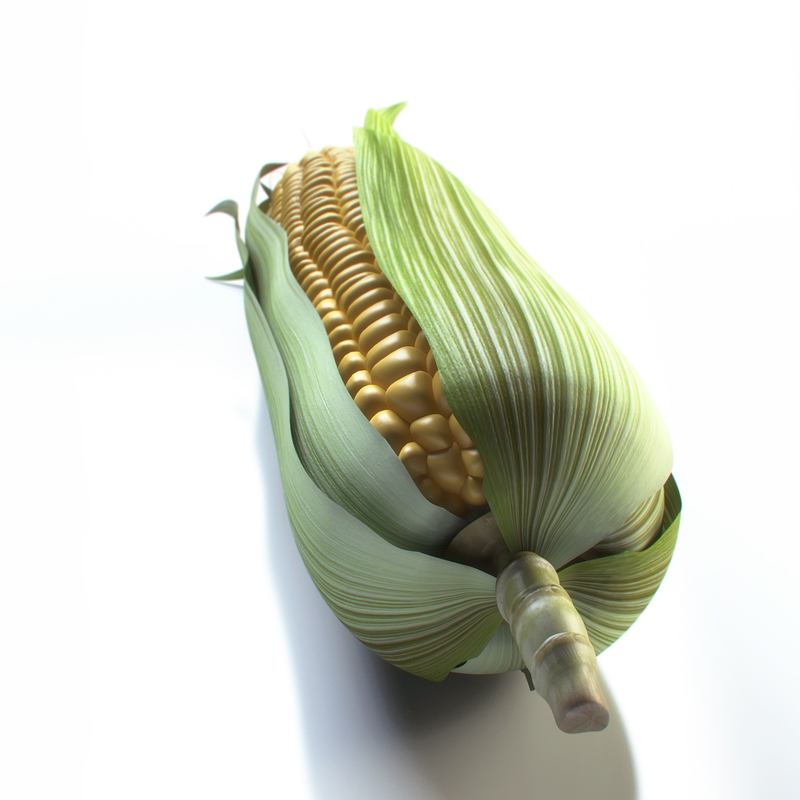 3d realistic corn