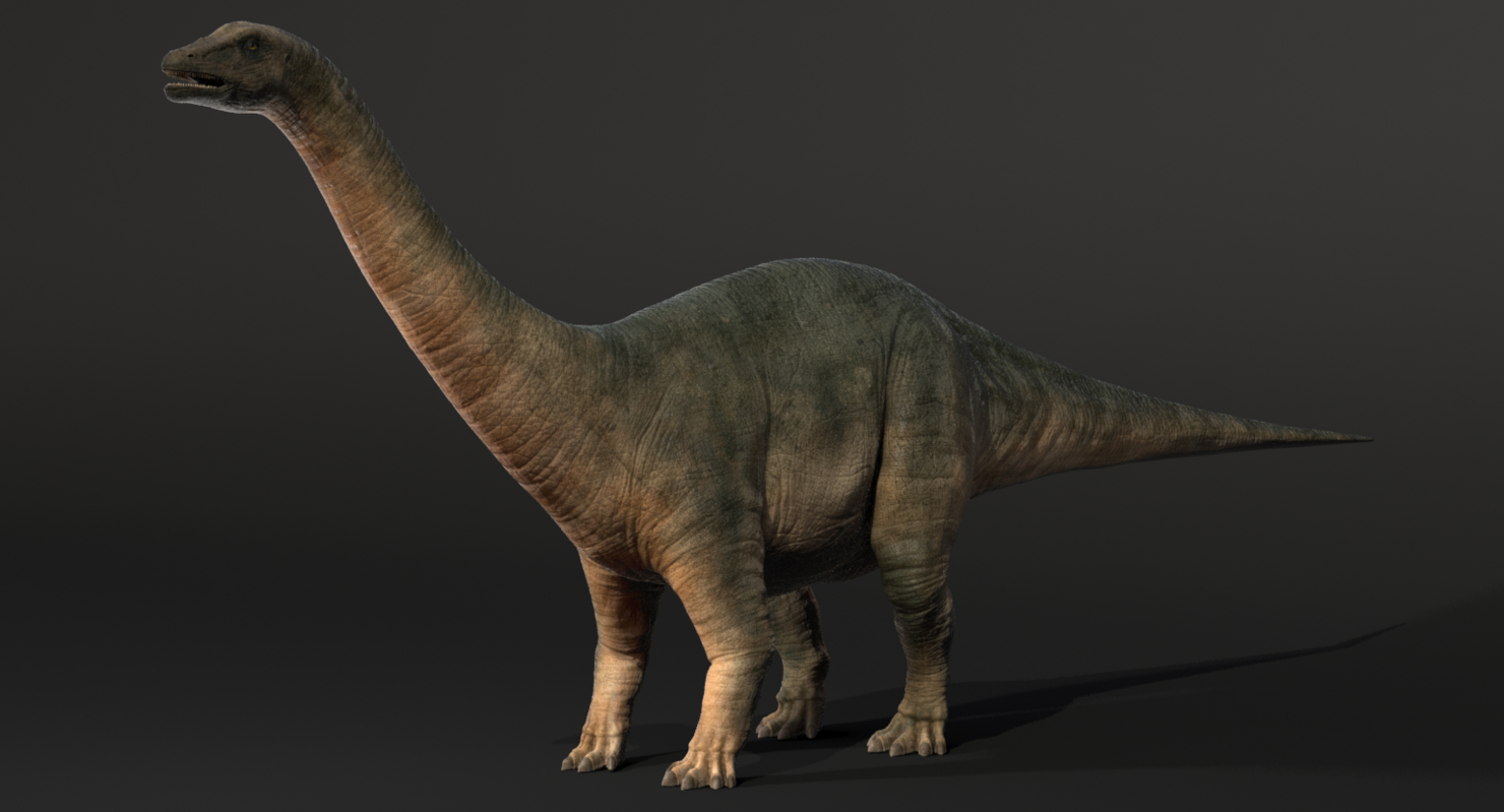 realistic brontosaurus obj