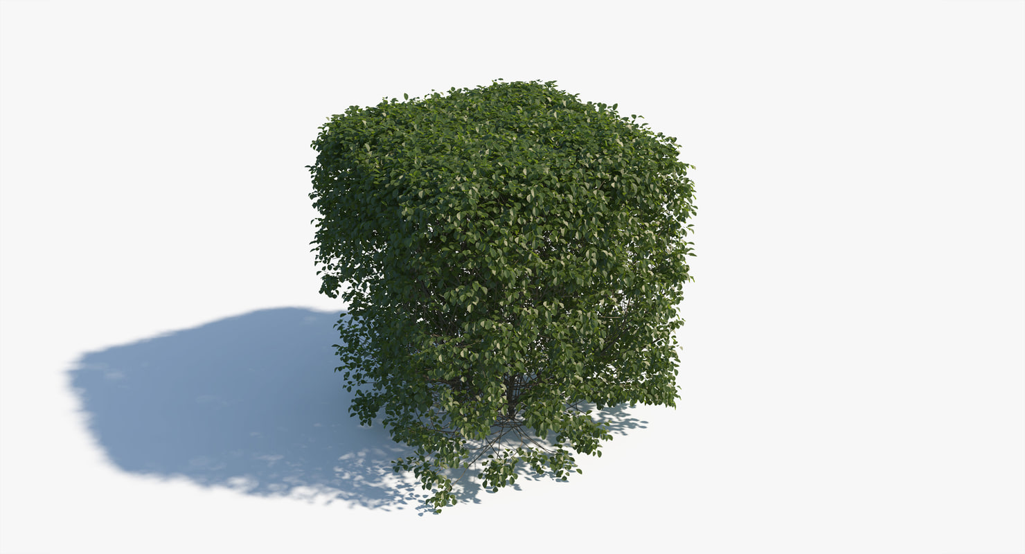 topiary 3d model