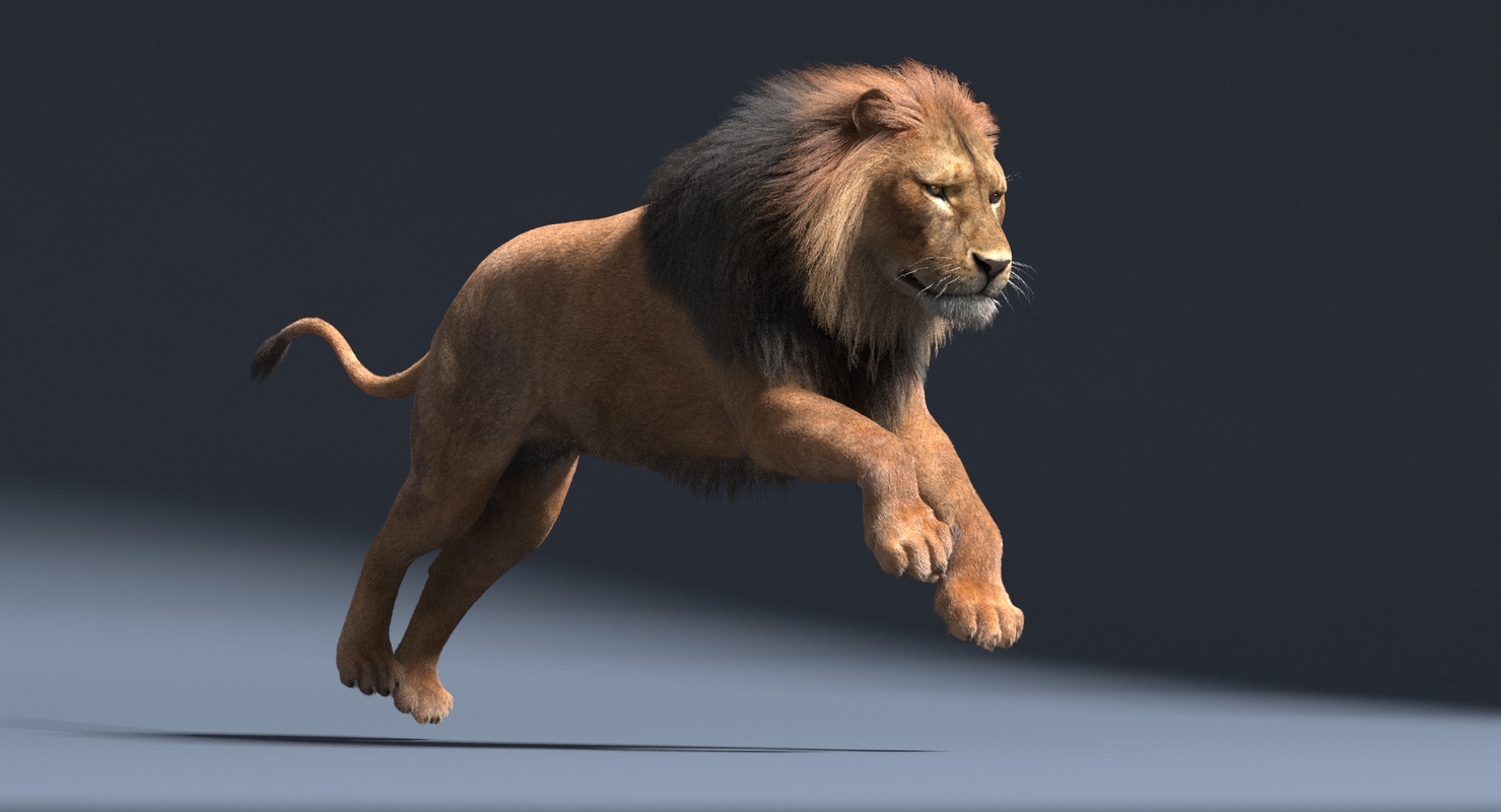 3d rigged lion fur model