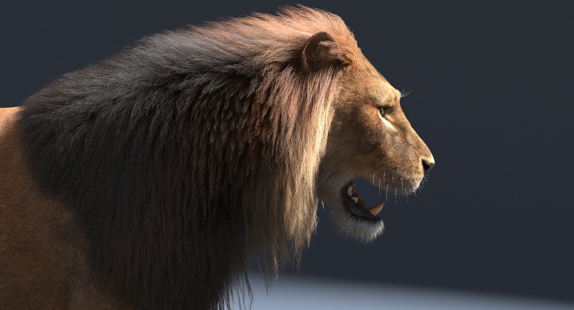 3d rigged lion fur model