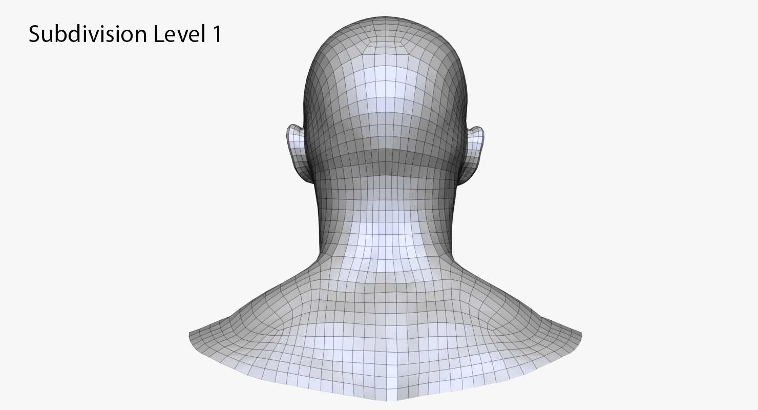 3d realistic white male head