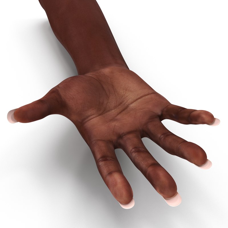 Female Hand African American 3d Model