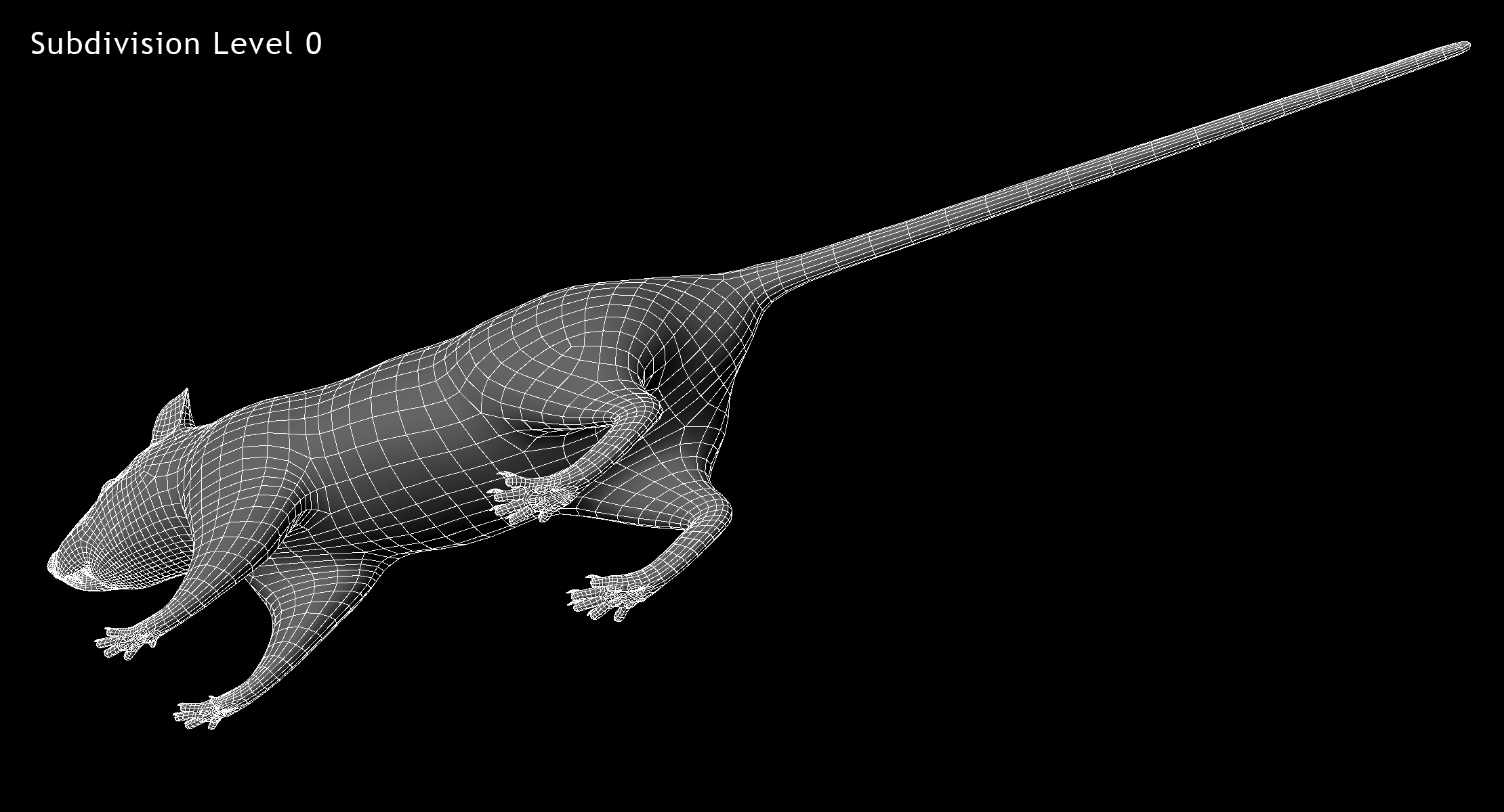 3d model white rat