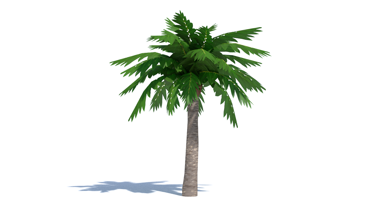 3d cartoon palm tree model
