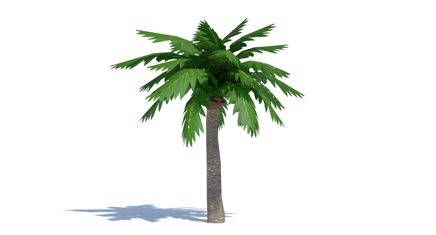 3d cartoon palm tree model