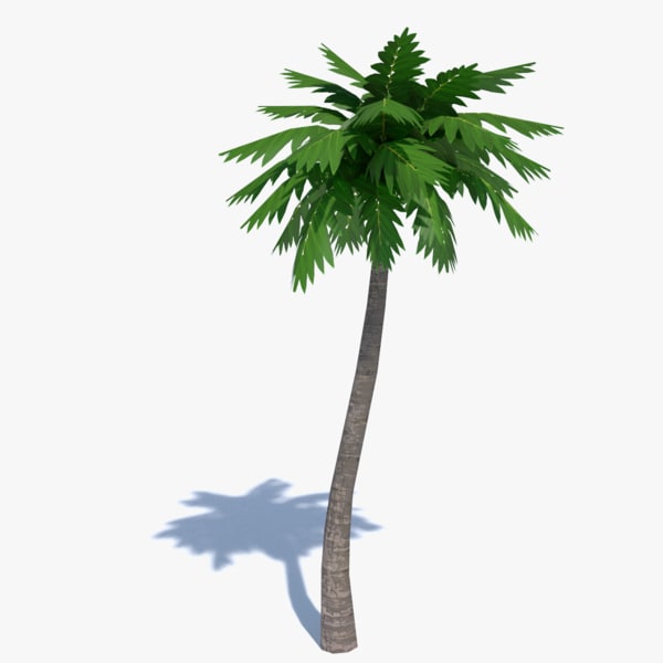 Palm Tree Blender Models for Download | TurboSquid
