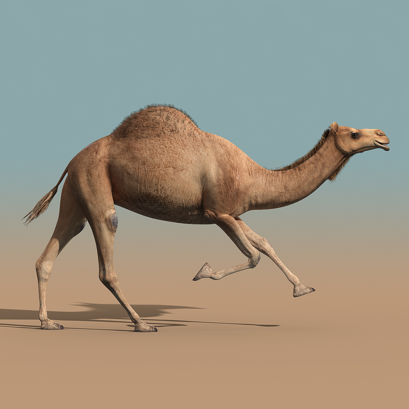 camel rigged 3d max
