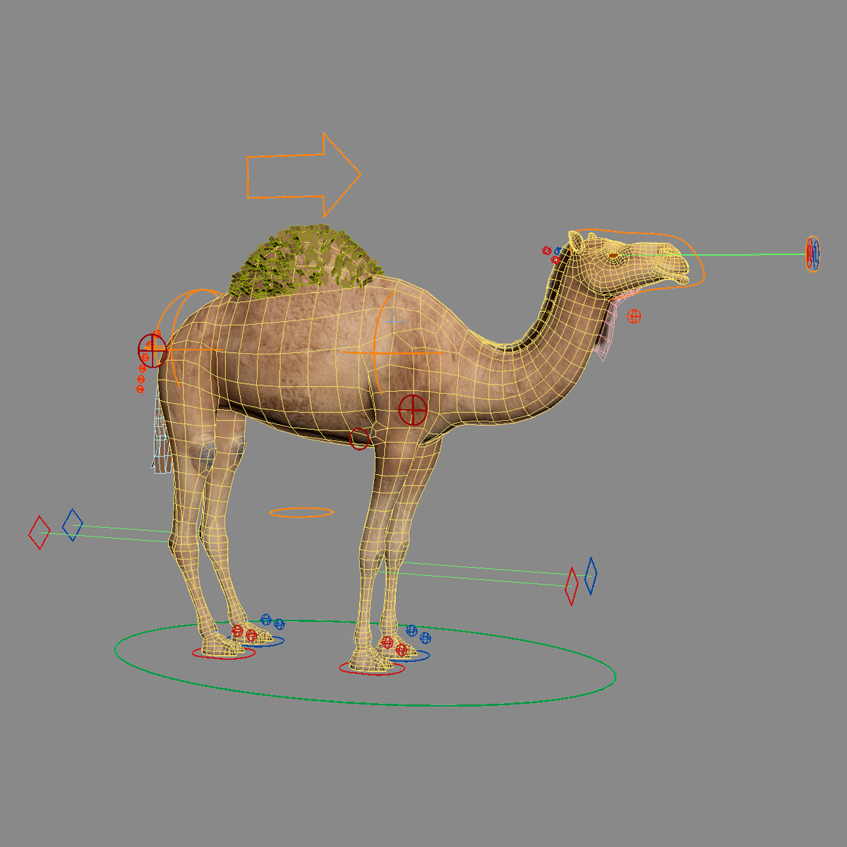 camel rigged 3d max