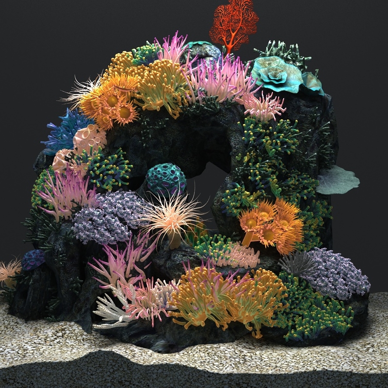 marine aquarium 01 3d model