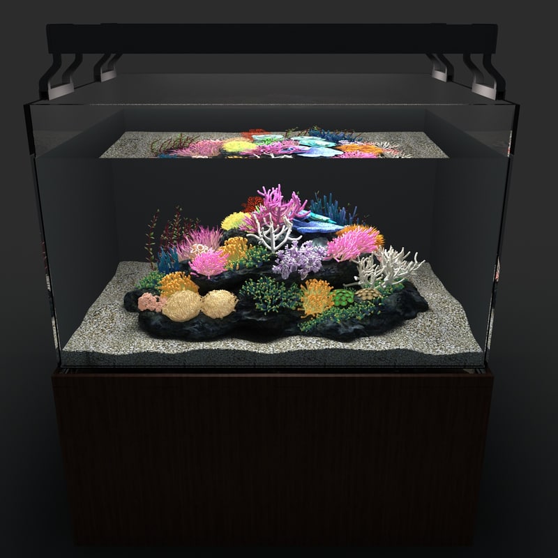3d marine aquarium 02