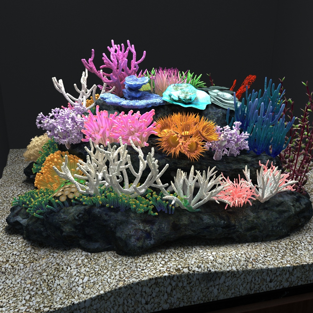 3d marine aquarium 02