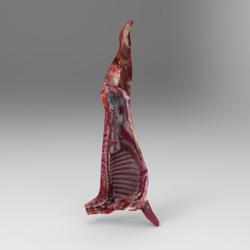 3d meat model