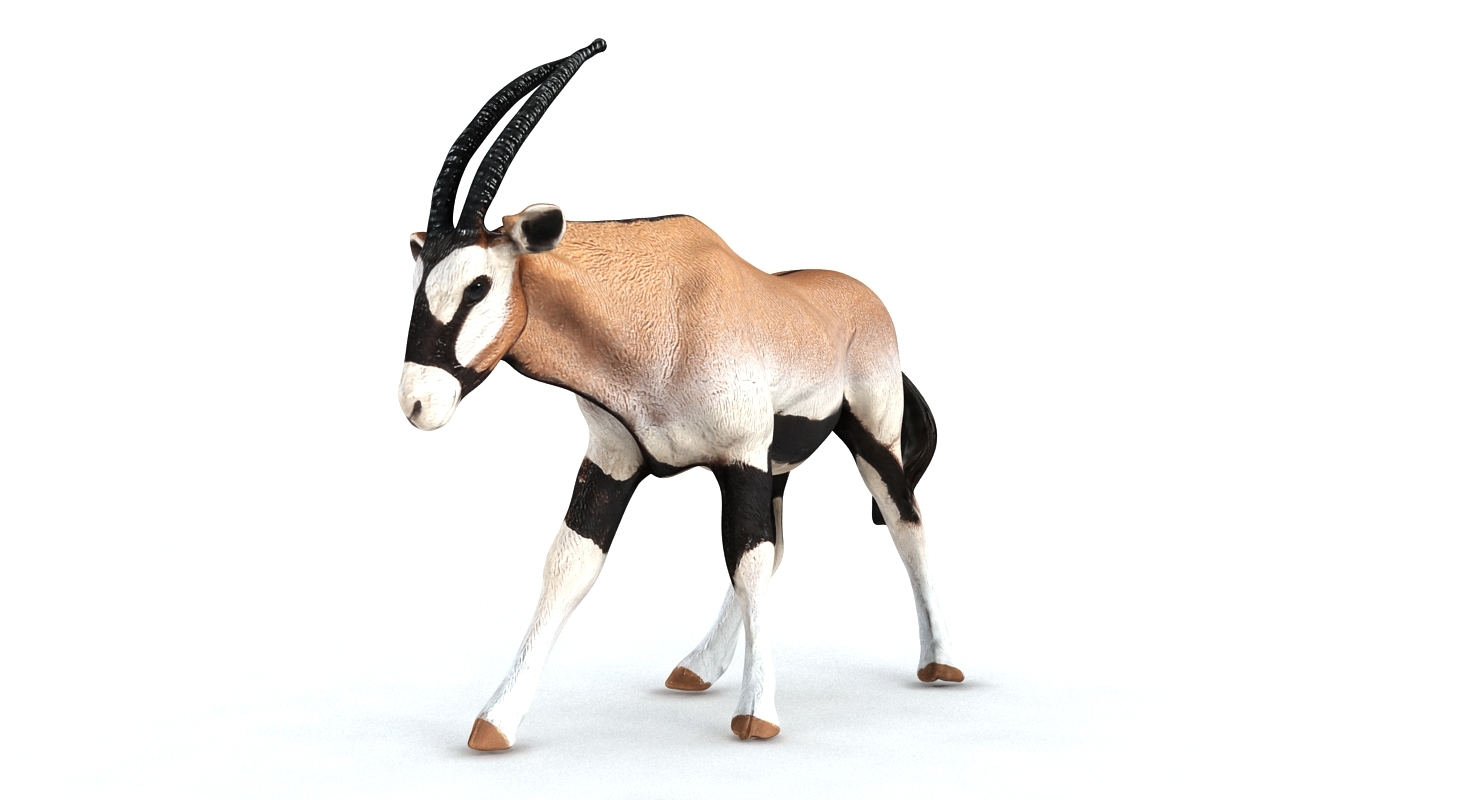 3d model of oryx