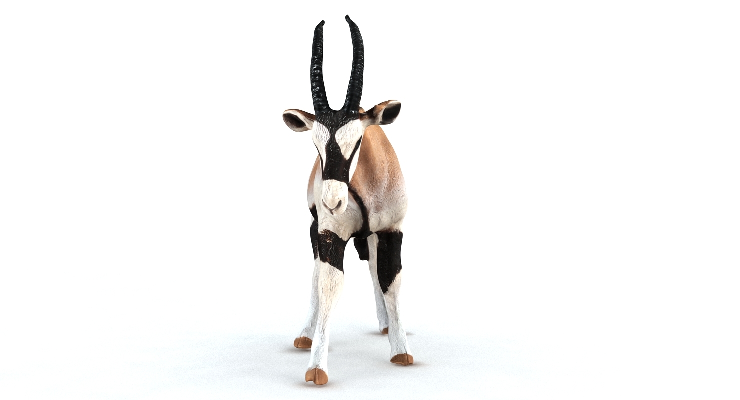 3d model of oryx