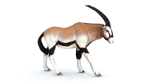 3d model of oryx