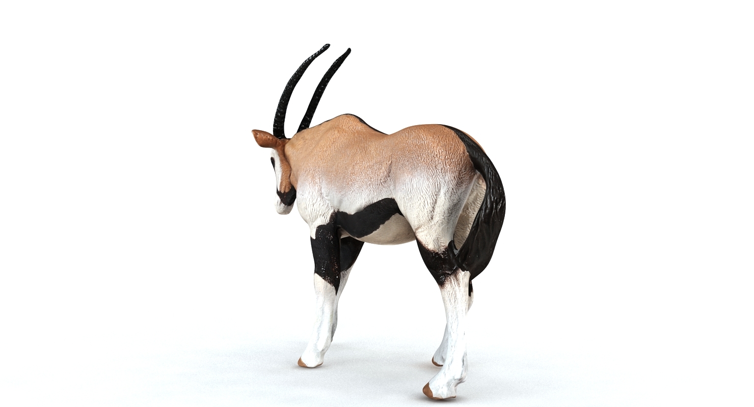 3d model of oryx