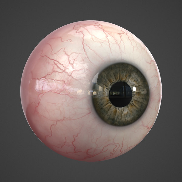 3d model human eye realistic