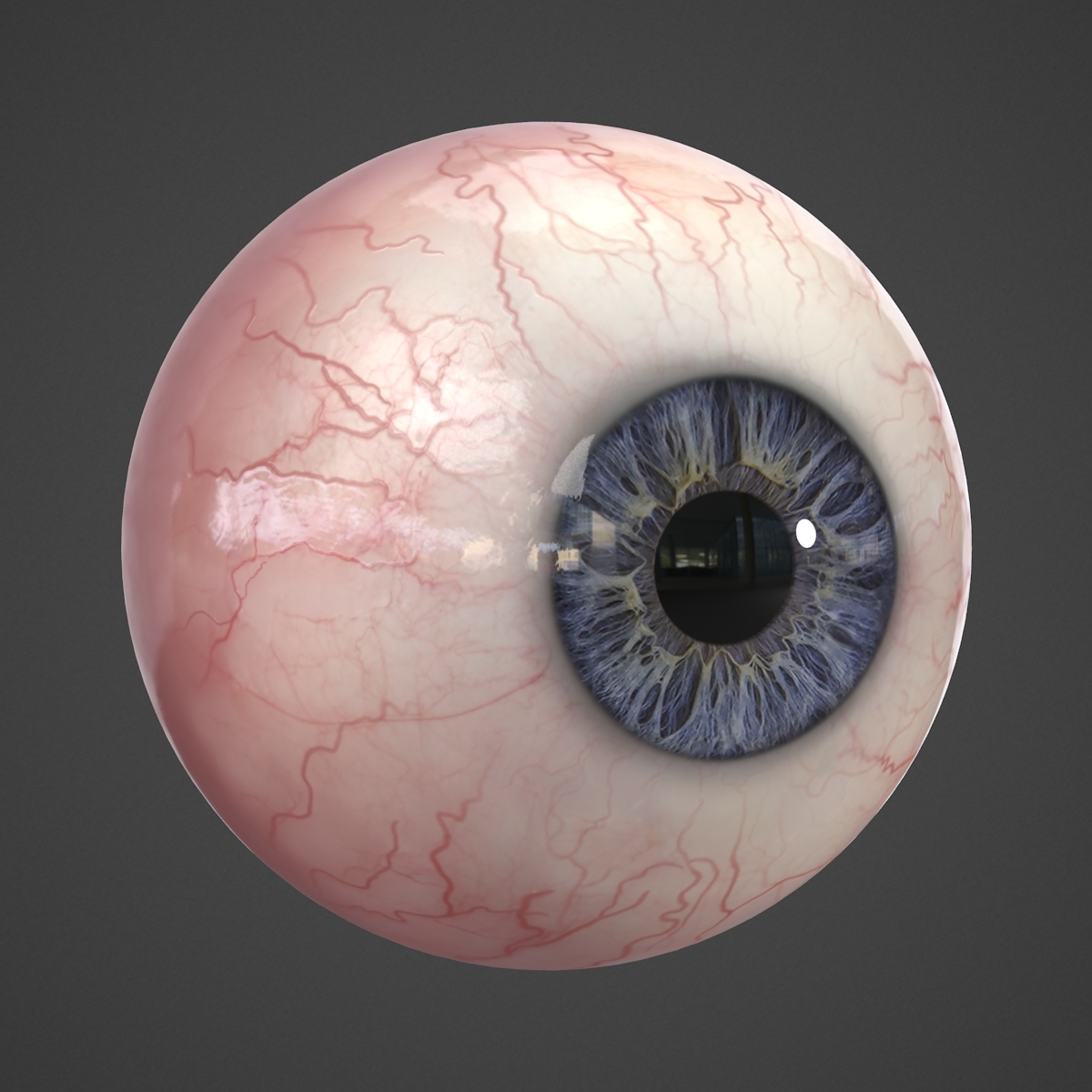 3d model human eye realistic