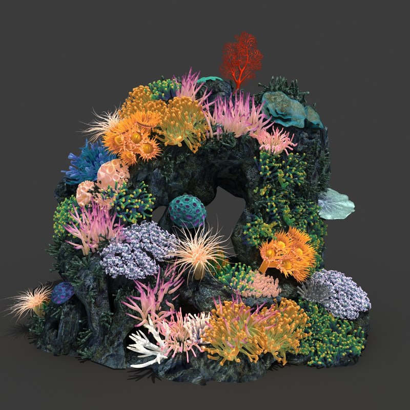 coral 3d max