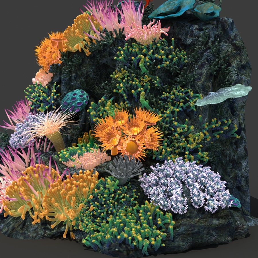 coral 3d max