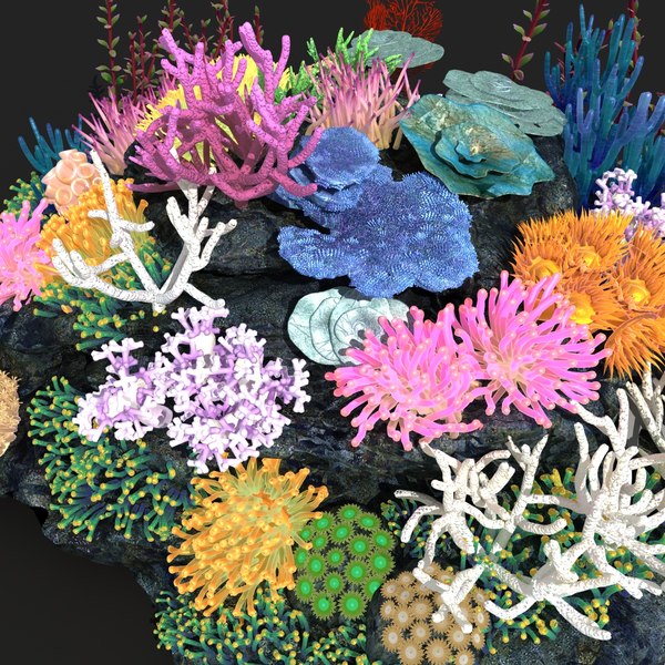 3d coral model
