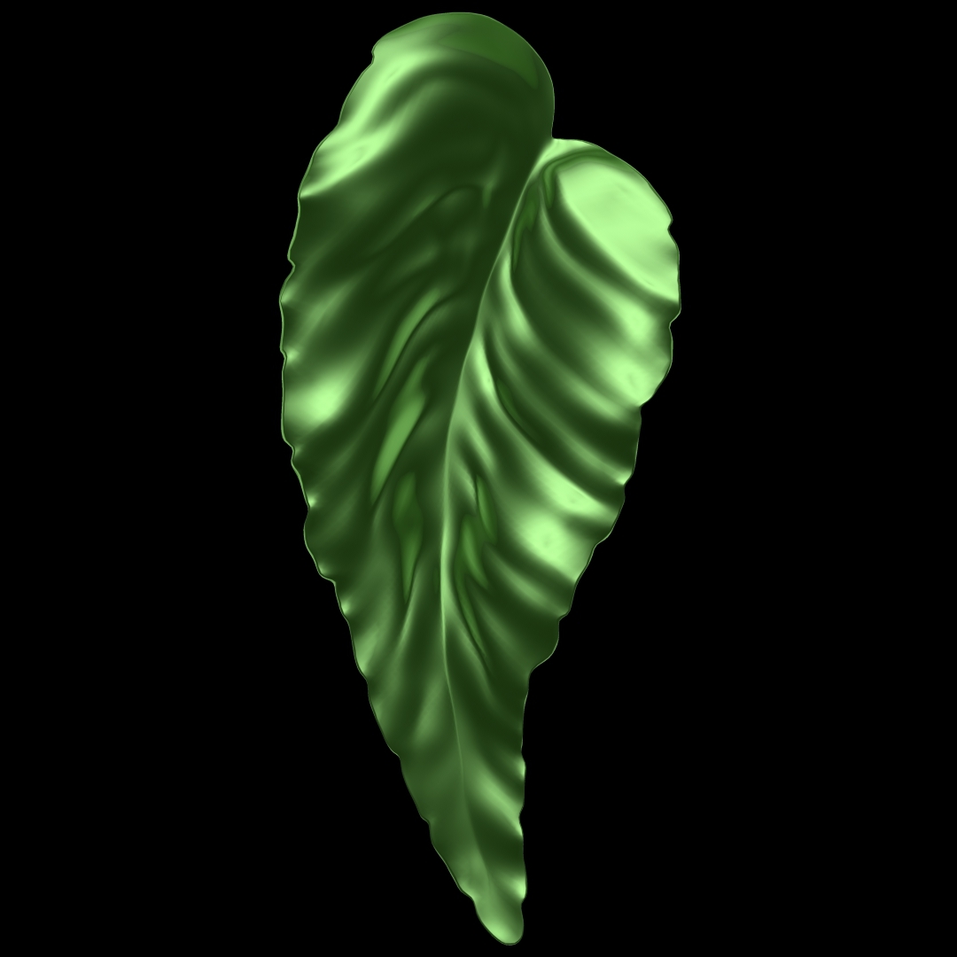 3d model leaf