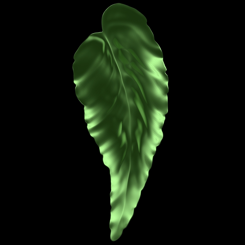 3d model leaf