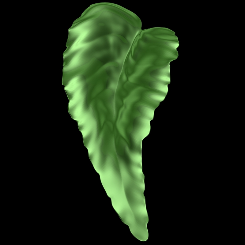 3d model leaf