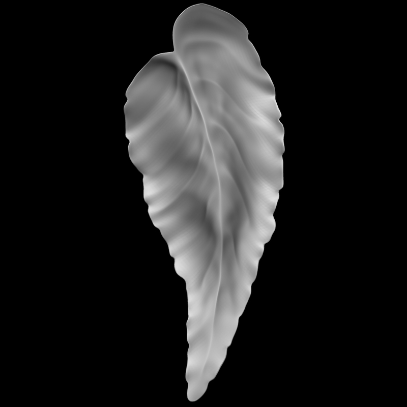 3d model leaf