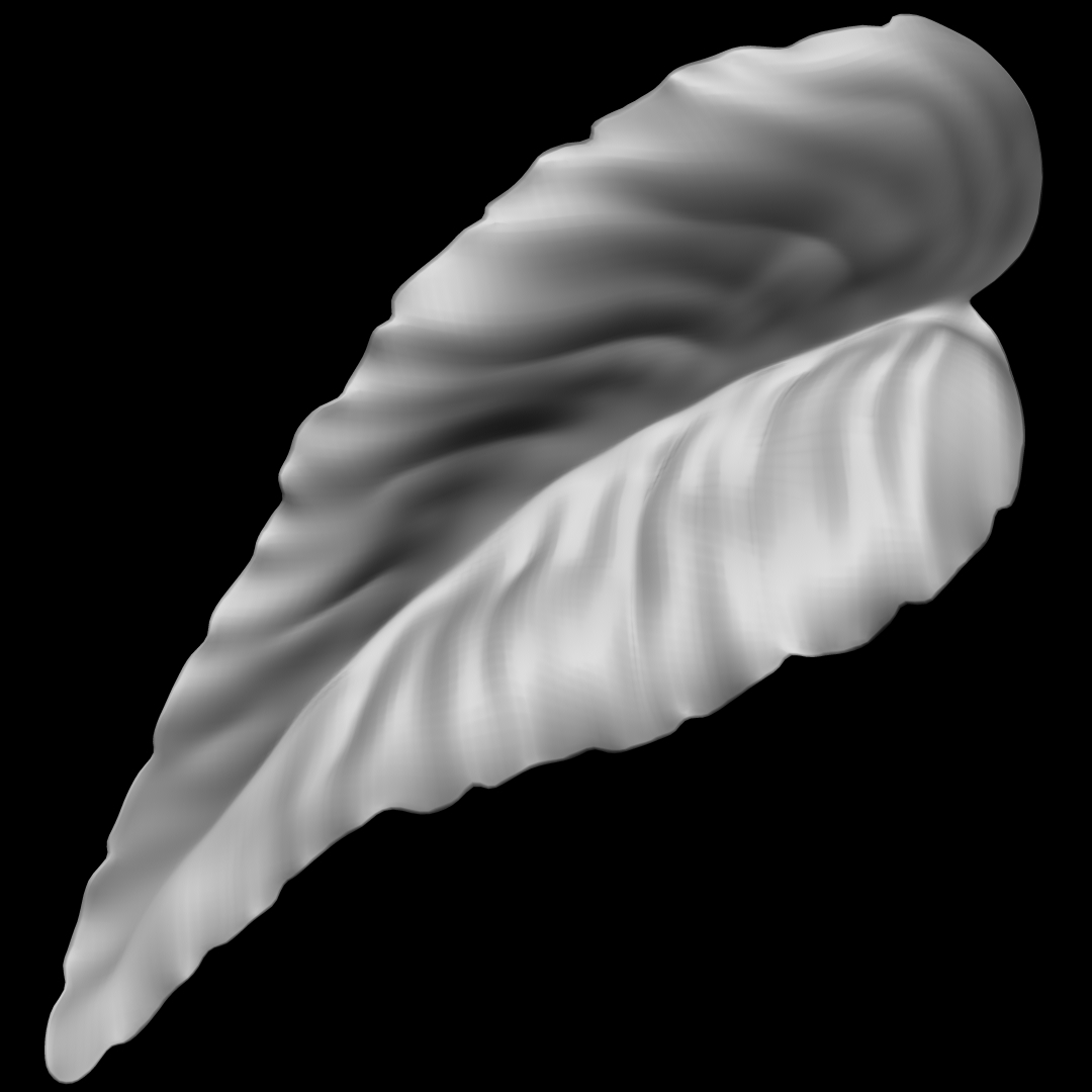 3d model leaf