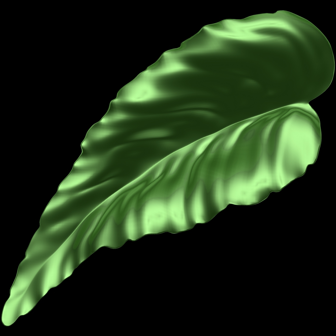 3d model leaf