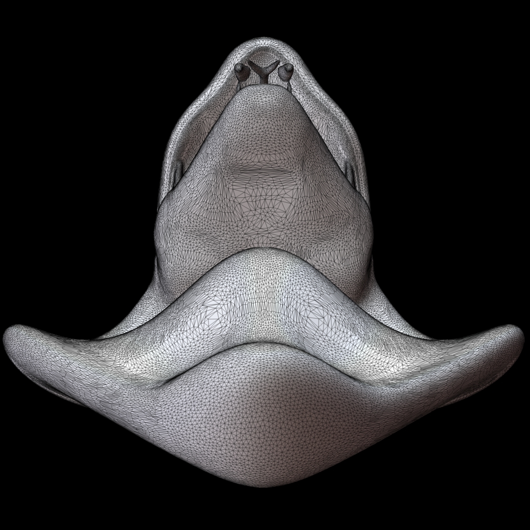 3d snake head sculpture