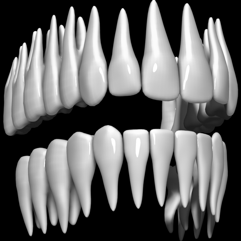 teeth 3d c4d