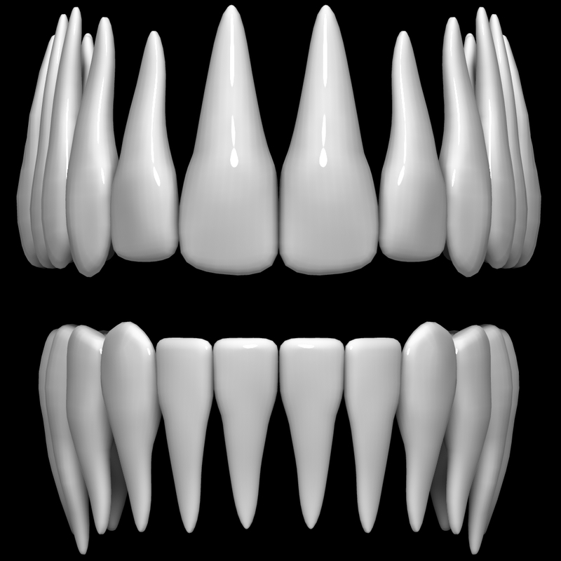 teeth 3d c4d